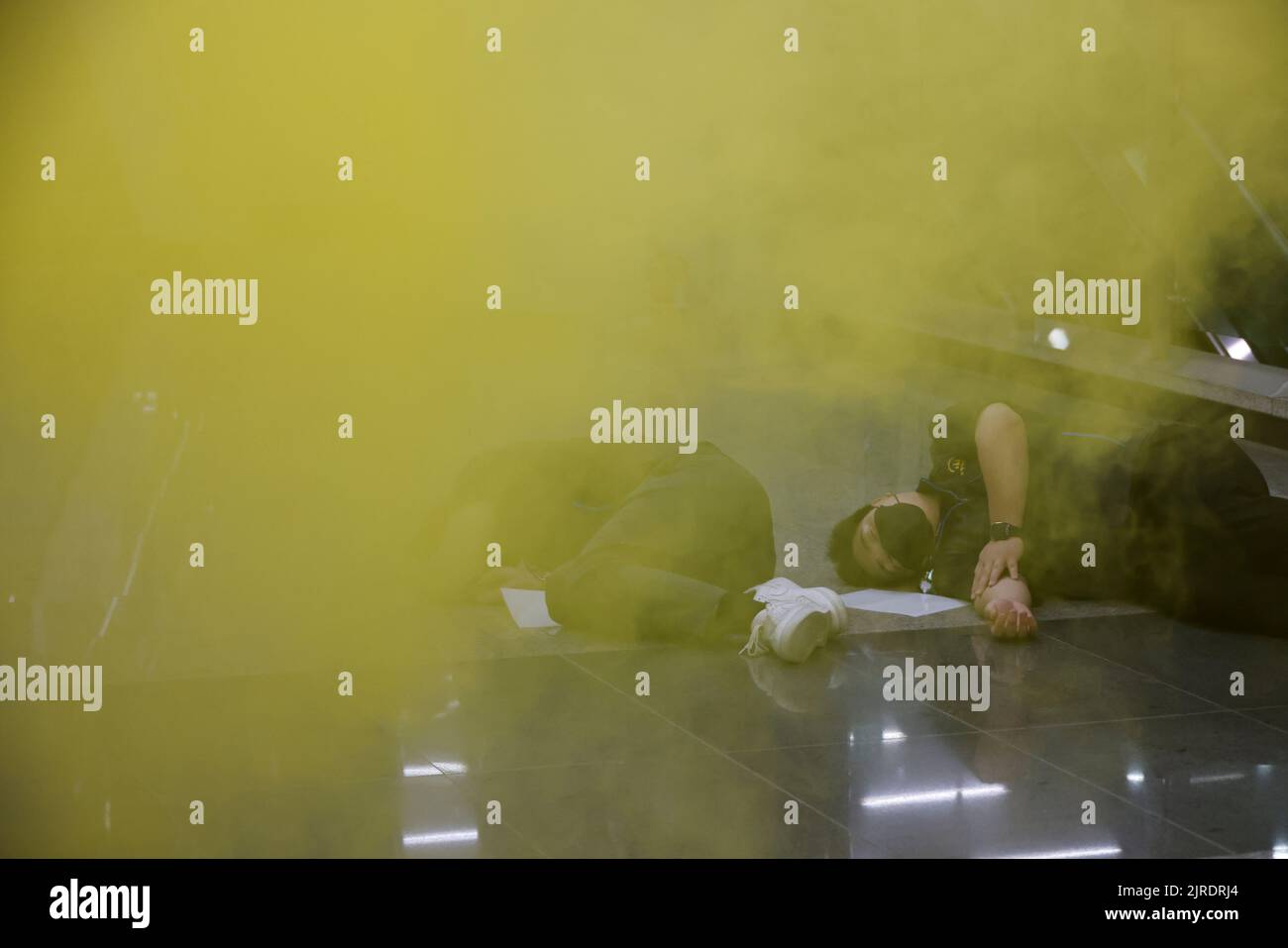 2022 ulchi freedom shield hi-res stock photography and images - Alamy