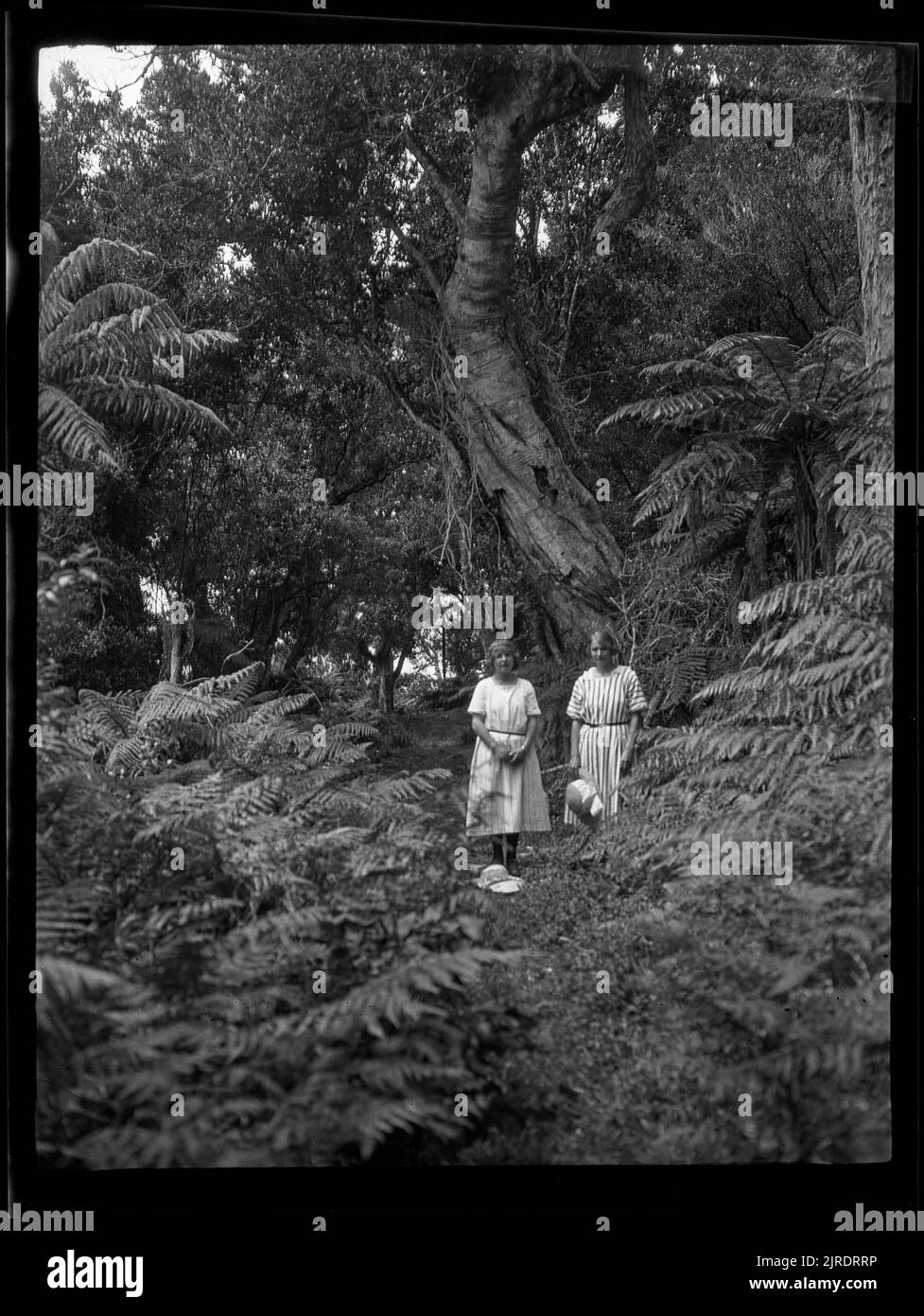 Women black forest Black and White Stock Photos & Images - Alamy