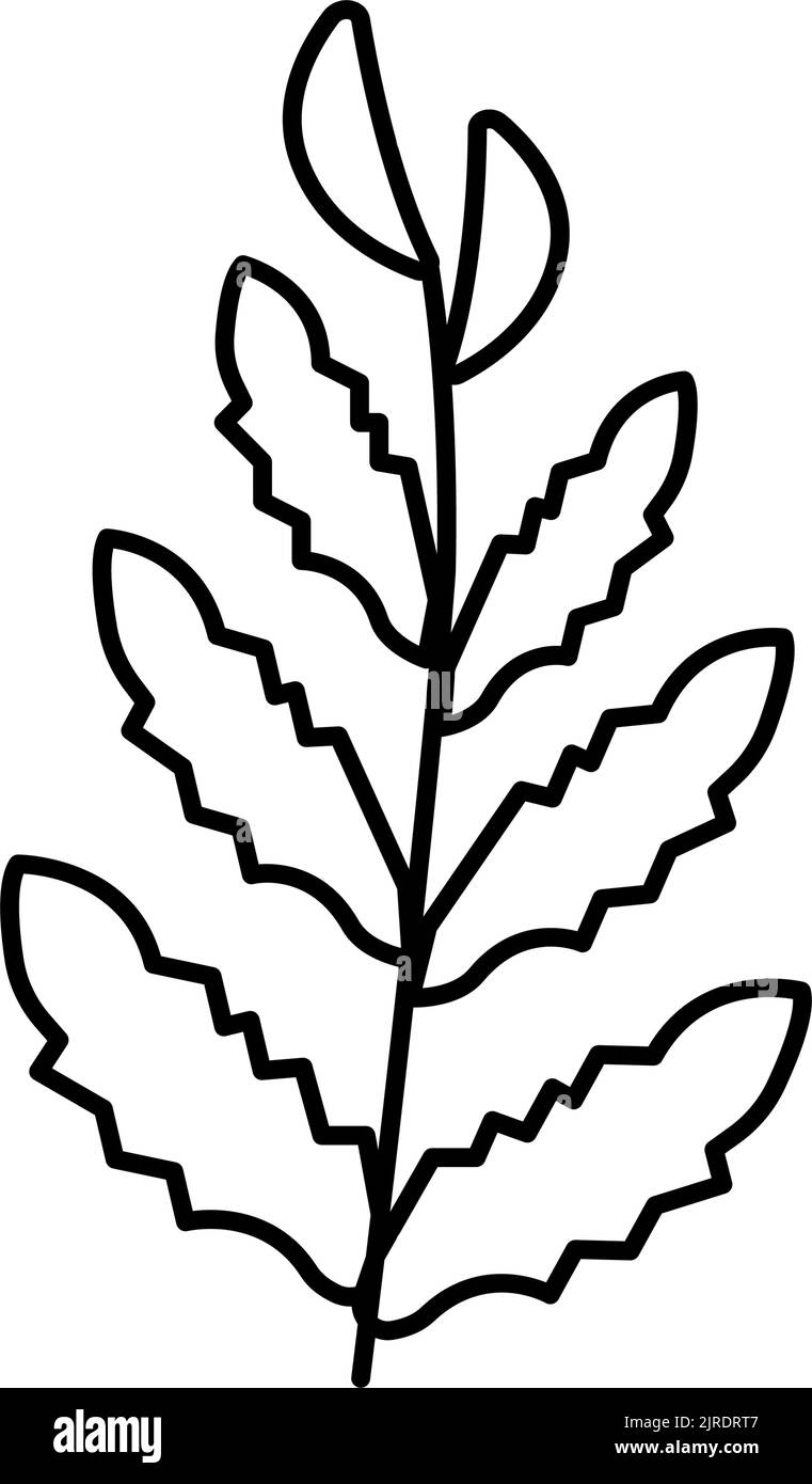 african water fern line icon vector illustration Stock Vector Image ...