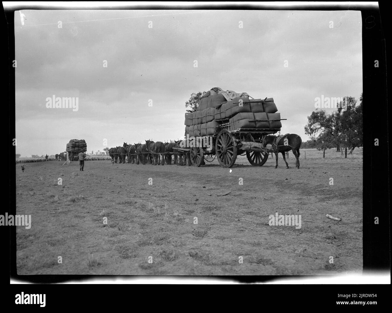 Wool transport Black and White Stock Photos & Images - Alamy