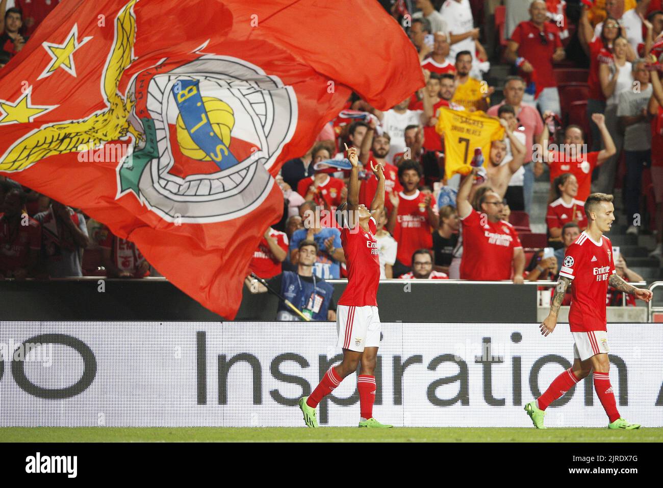 David Neres of SL Benfica scores 3-0 and celebrates during the UEFA ... David Neres of SL Benfica scores 3-0 and celebrates during the UEFA ...