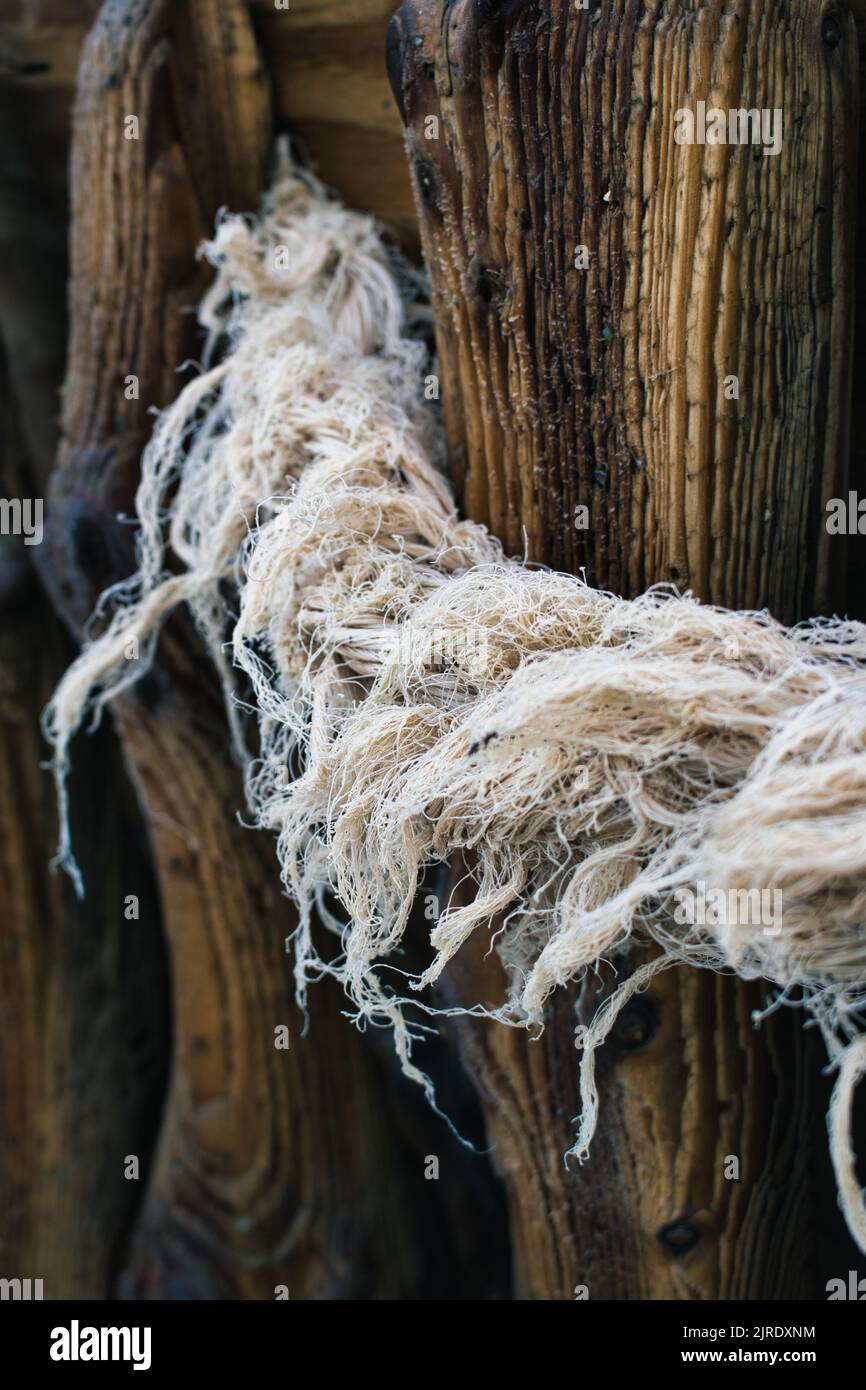 A vertical close-up shot of a shabby hairy rope tied to wooden surfaces ...