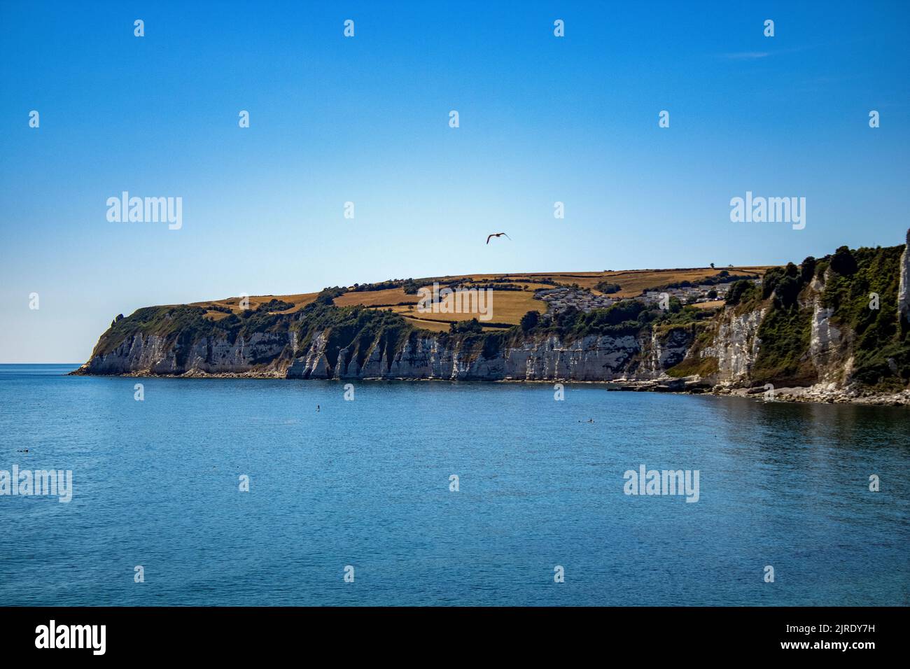 Sea view of Beer cliffs from Seaton (Devon, UK Stock Photo - Alamy