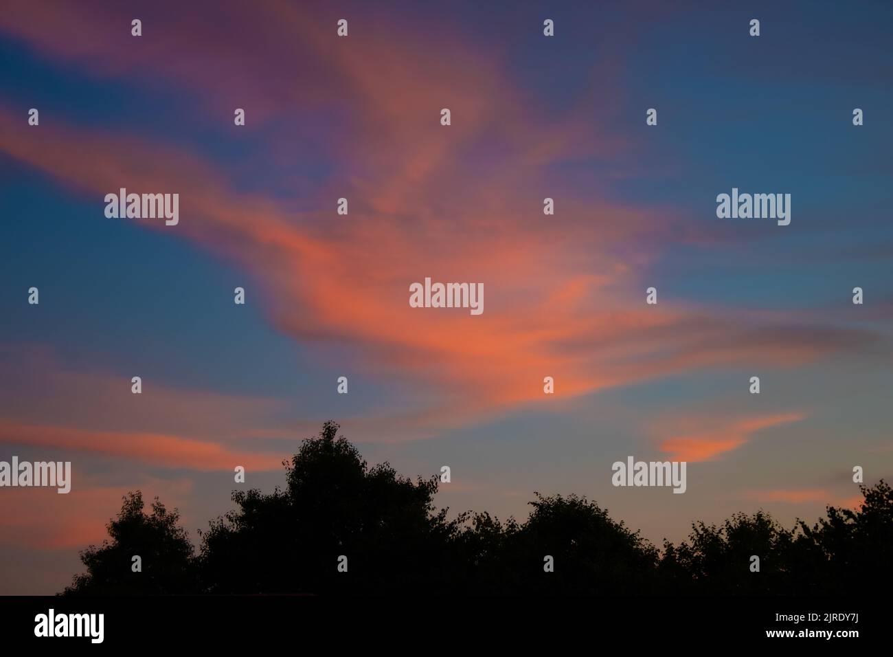 Pinky blue hi-res stock photography and images - Alamy