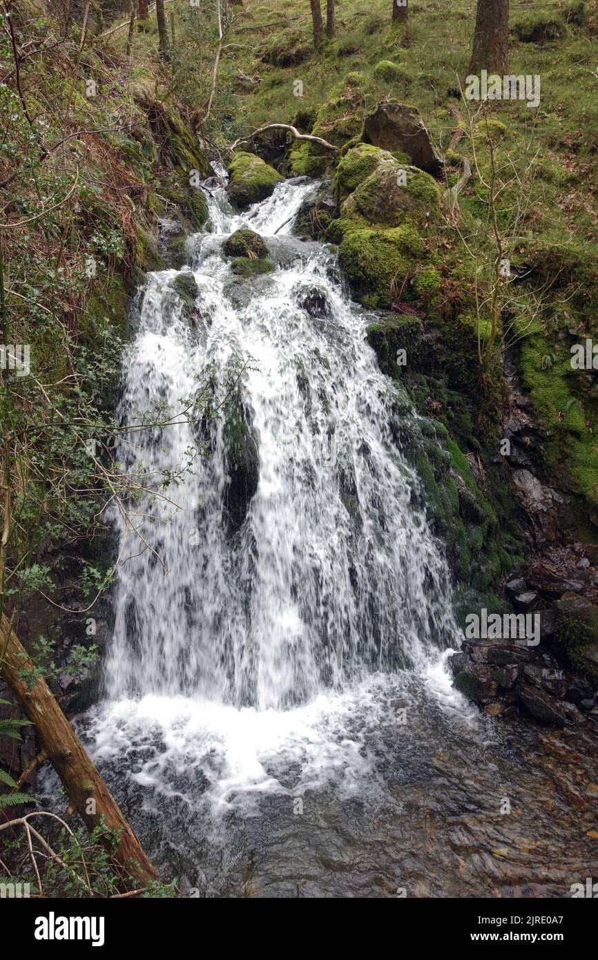 Tom Gill Waterfalls on the Outflow of Tarn Hows Lake to Glen Mary in the Yewdale Valley, Lake ...