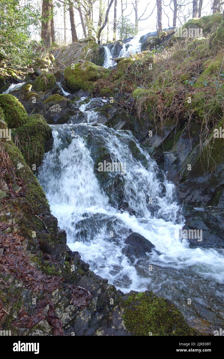 Tom Gill Waterfalls on the Outflow of Tarn Hows Lake to Glen Mary in ...
