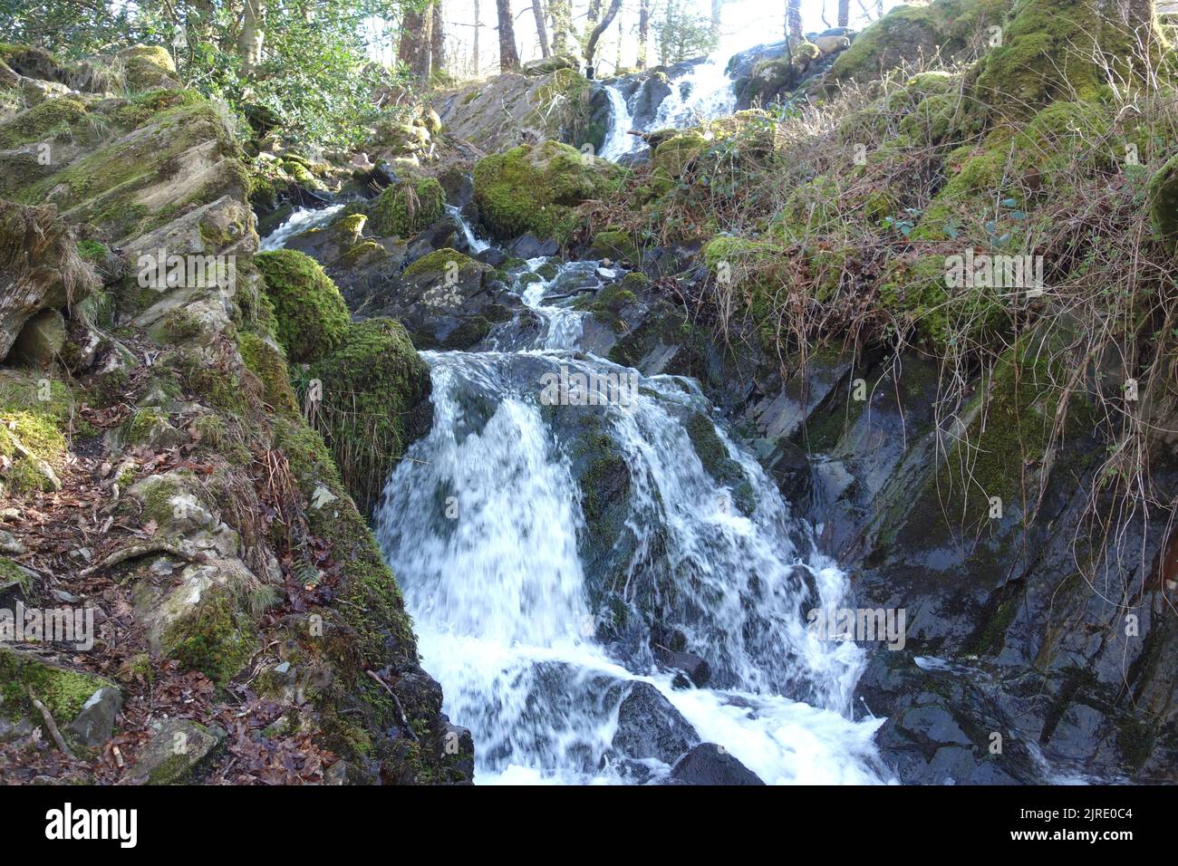 Tom Gill Waterfalls on the Outflow of Tarn Hows Lake to Glen Mary in ...