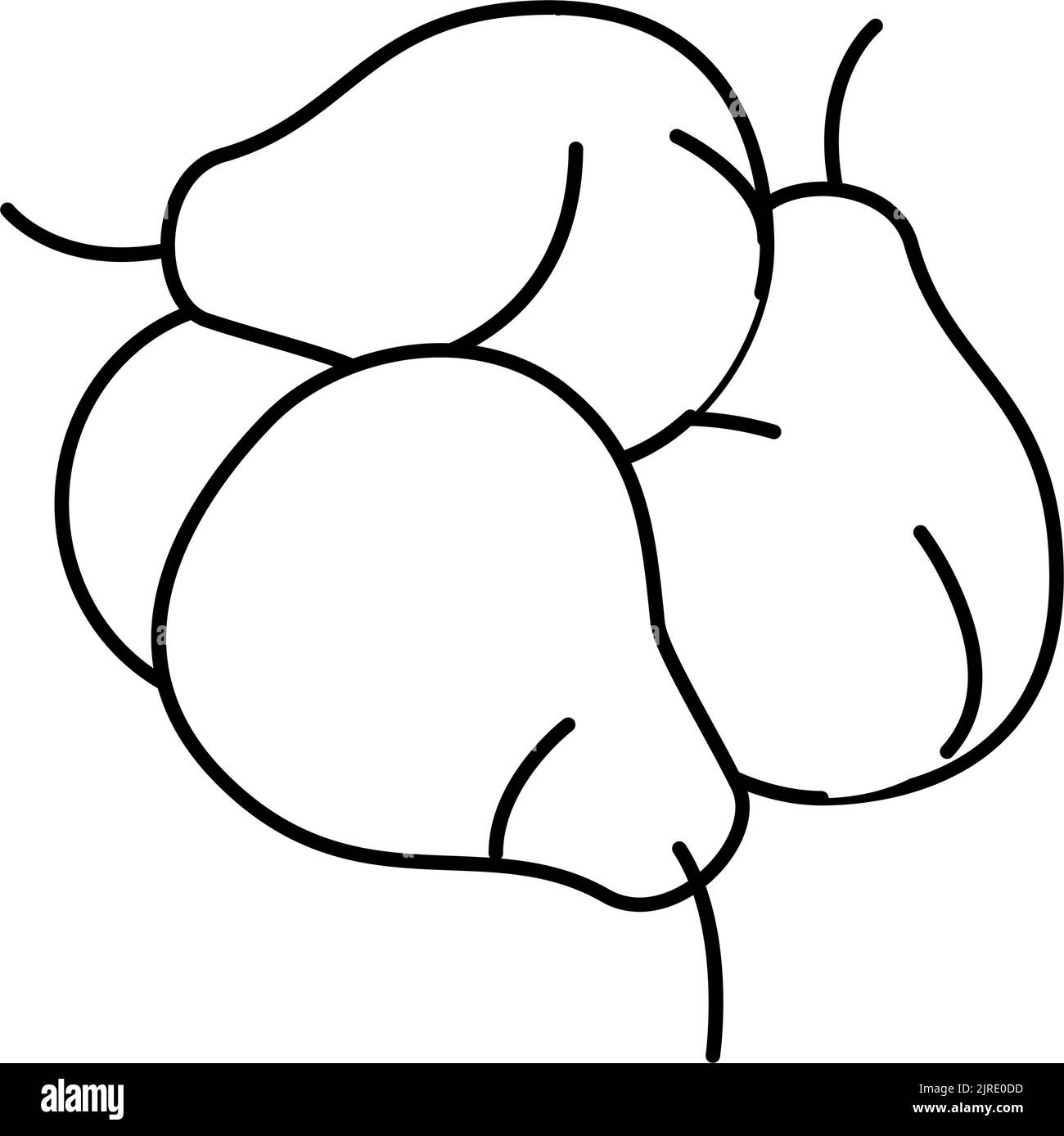 bunch pears line icon vector illustration Stock Vector Image & Art - Alamy
