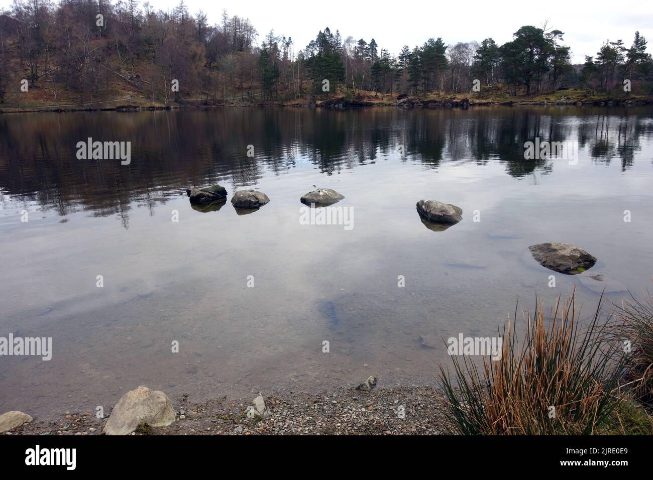 Overcast, Dull, Cloudy Reflections in Tarn Hows Lake in the Yewdale ...