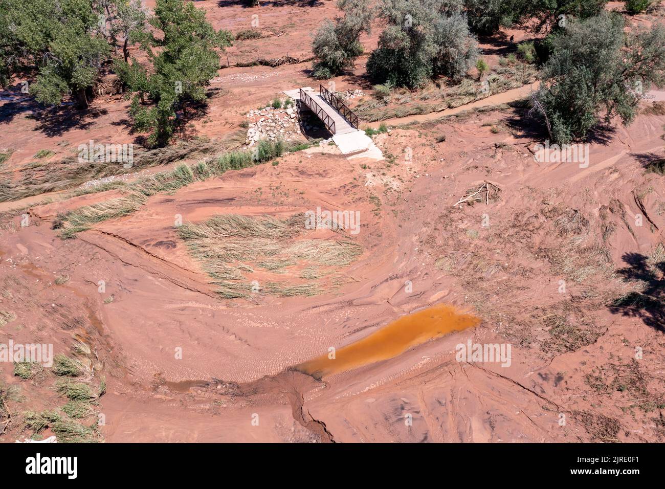 Before after disaster trees hi-res stock photography and images - Alamy