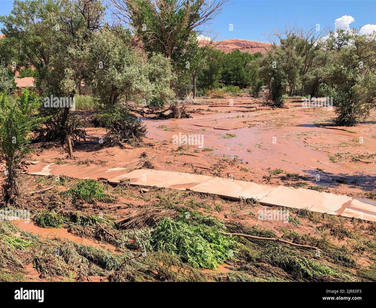 Flood waters receding in the floodplain of Mill Creek the night after a ...