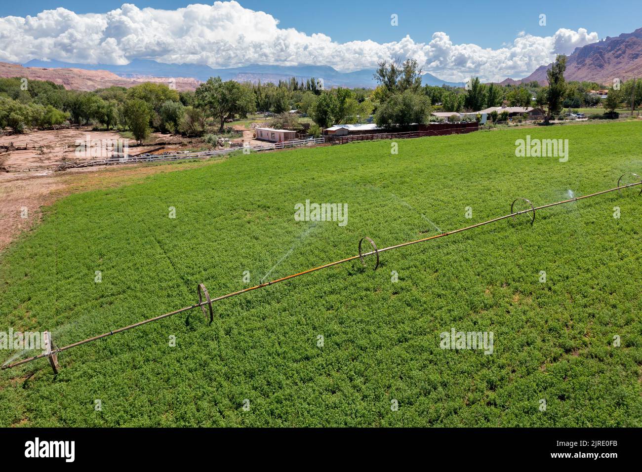 Aerial view of a wheel line or sideroll irrigation system watering a ...