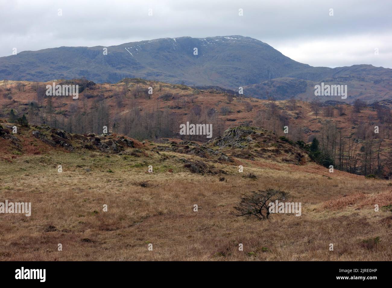 The Wainwright 'Wetherlam' from near 'Black Crag' the Summit 'Black ...