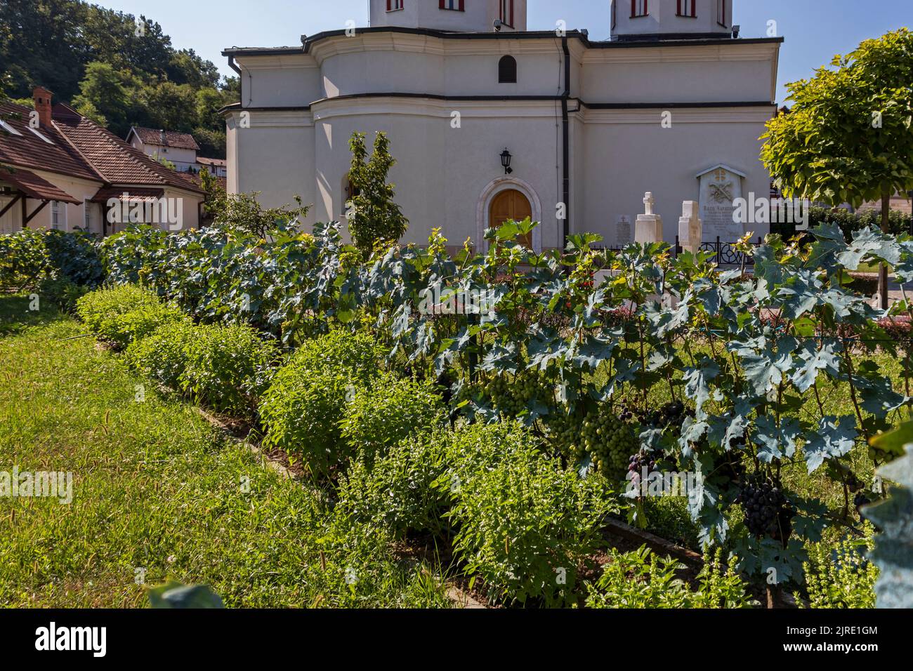 Medieval Rakovica Monastery near Belgrade, Serbia Stock Photo - Alamy