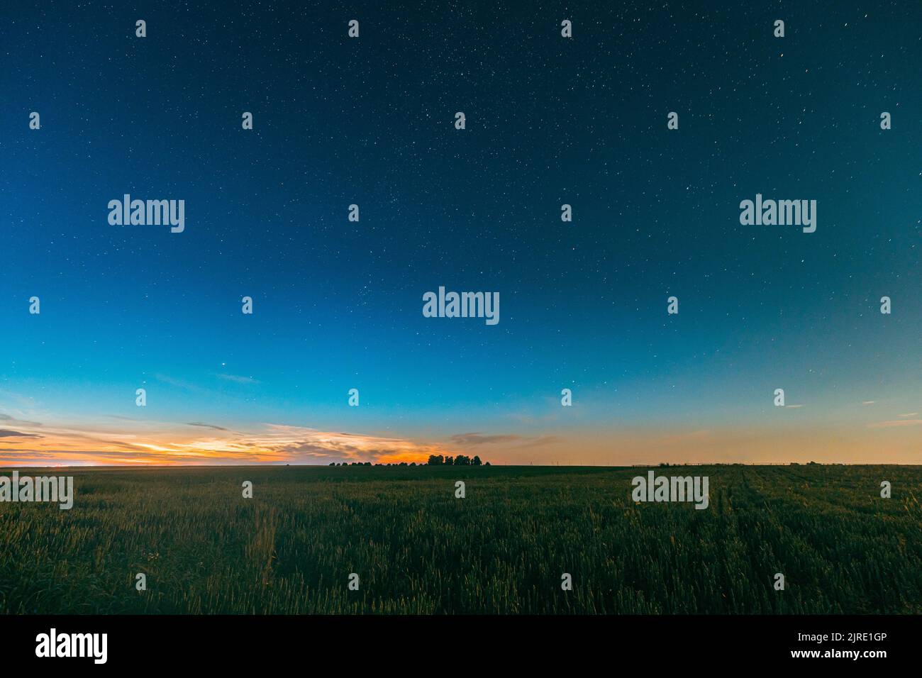 Night Starry Sky With Glowing Stars Above Countryside Landscape. Milky ...
