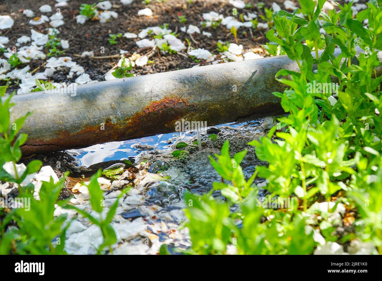 Water leak or breakthrough rusty pipe Stock Photo - Alamy