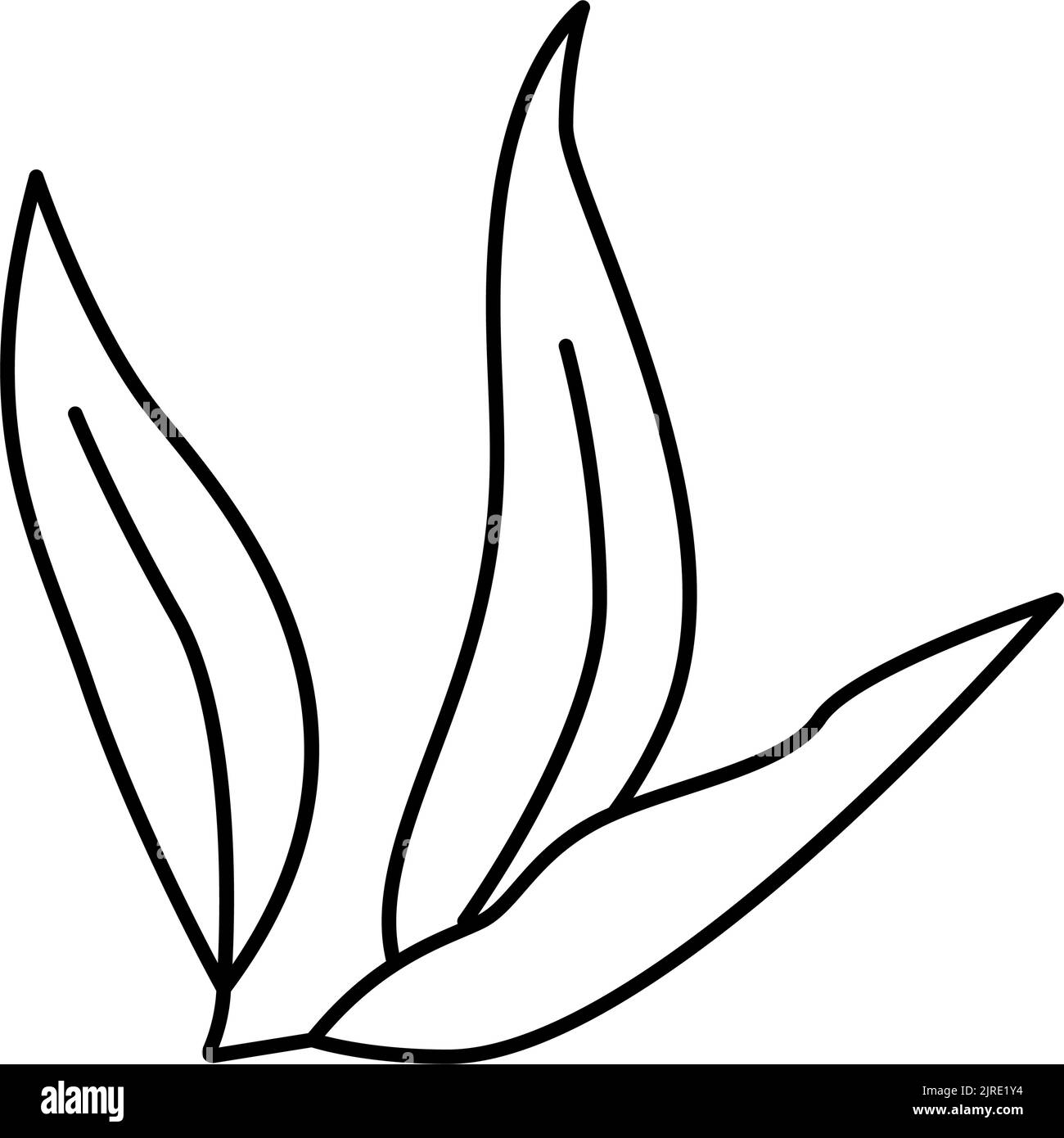 leaf plant mango line icon vector illustration Stock Vector Image & Art ...