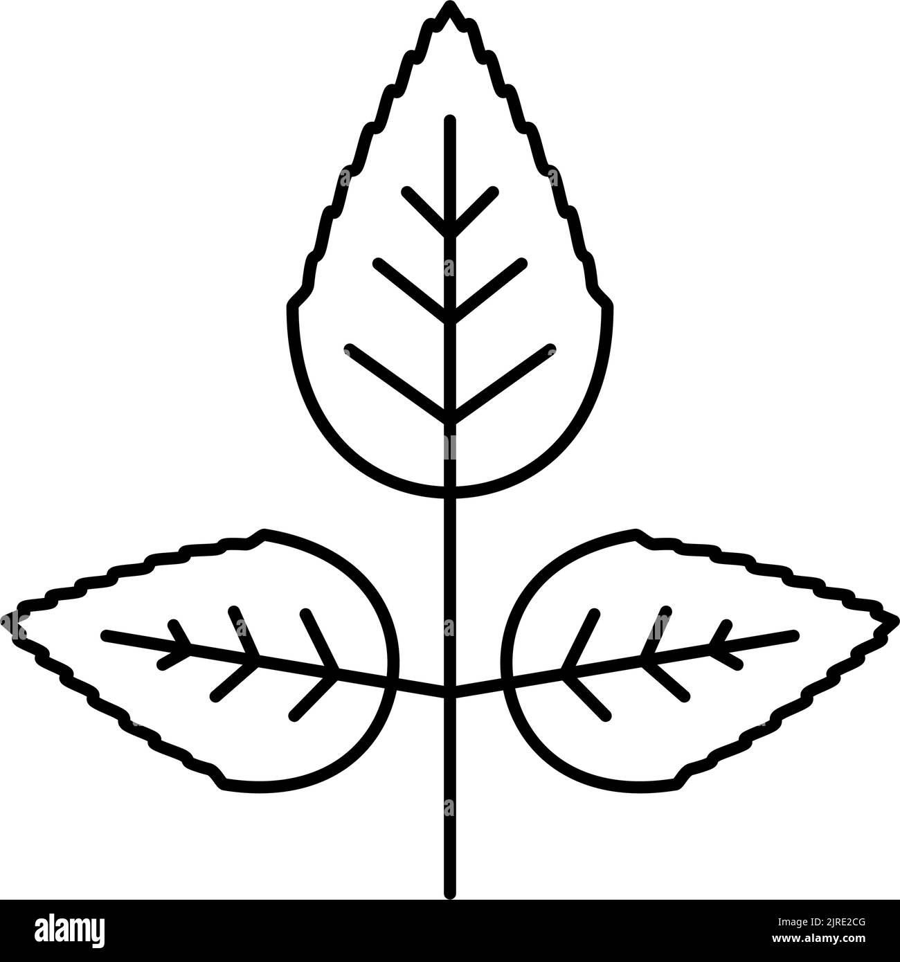 rose flower leaf line icon vector illustration Stock Vector Image & Art ...