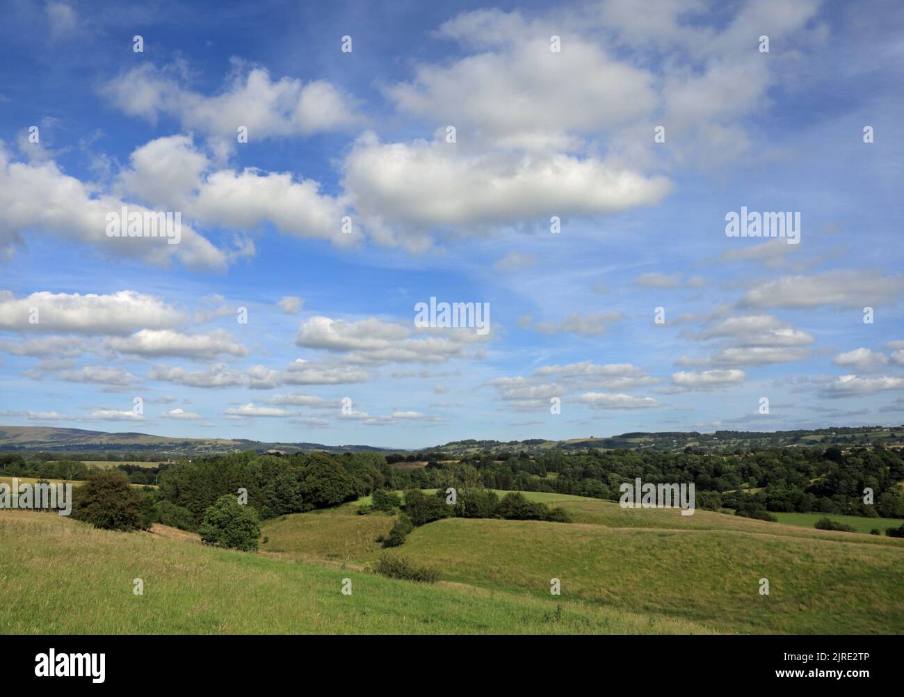 A view of the Ribble Valley on a summer evening Hurst Green near ...