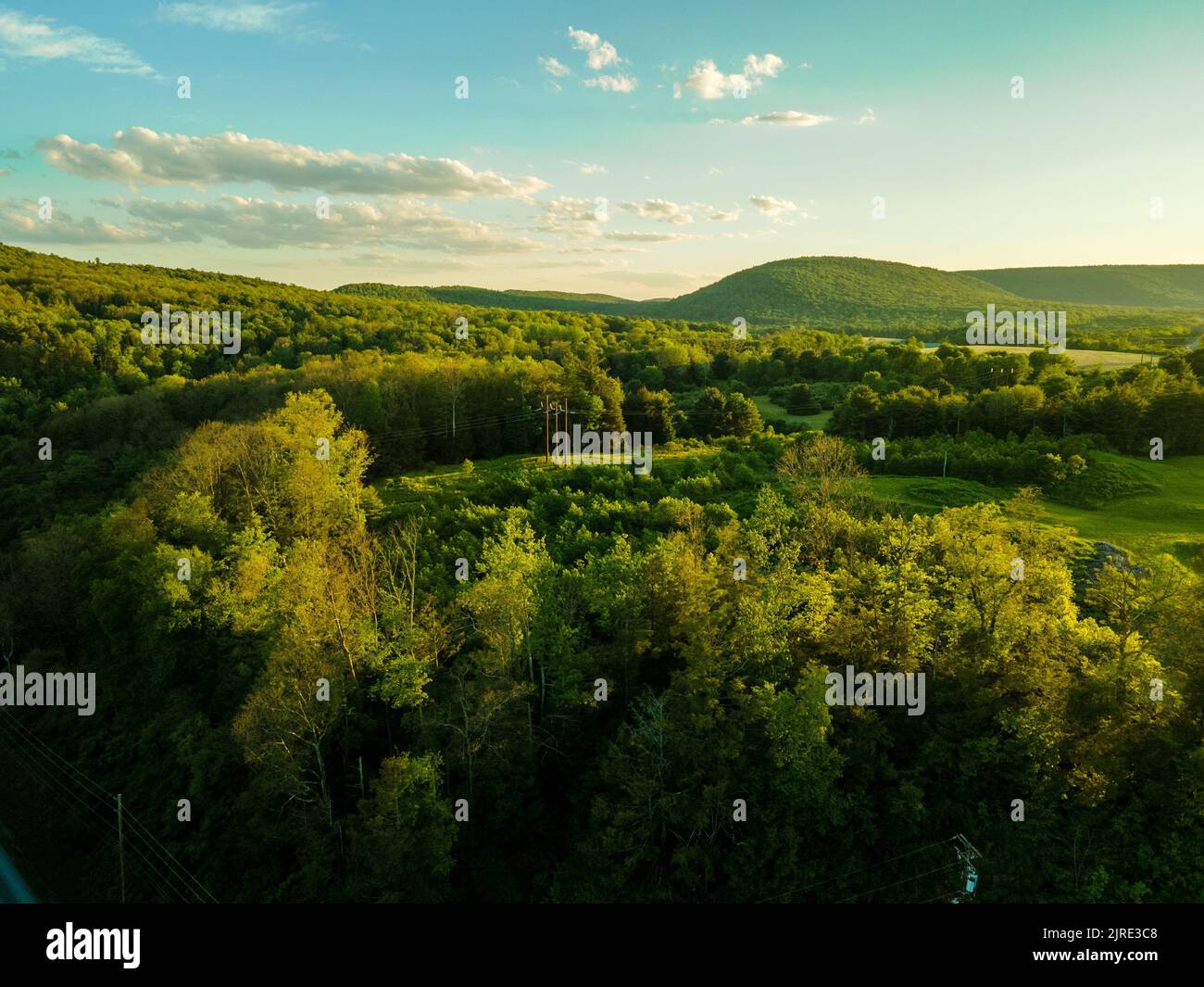 Beautiful drone landscape over lush farm fields and green dense forest ...