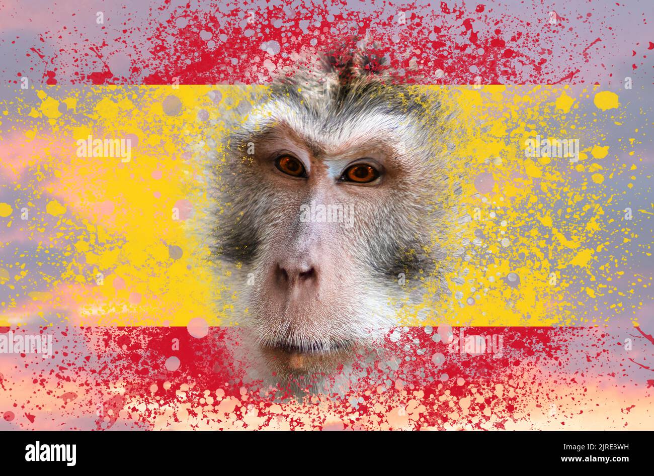 A new outbreak of viral infection at Spain, monkeypox. Closeup of ...