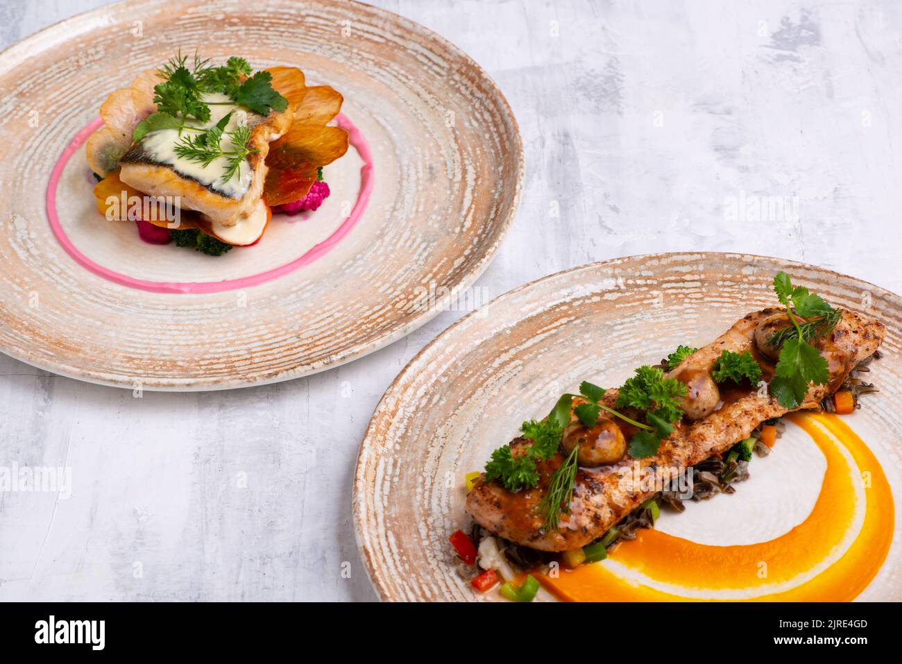 A closeup of two beautiful and tasty food on plates isolated on a grey ...