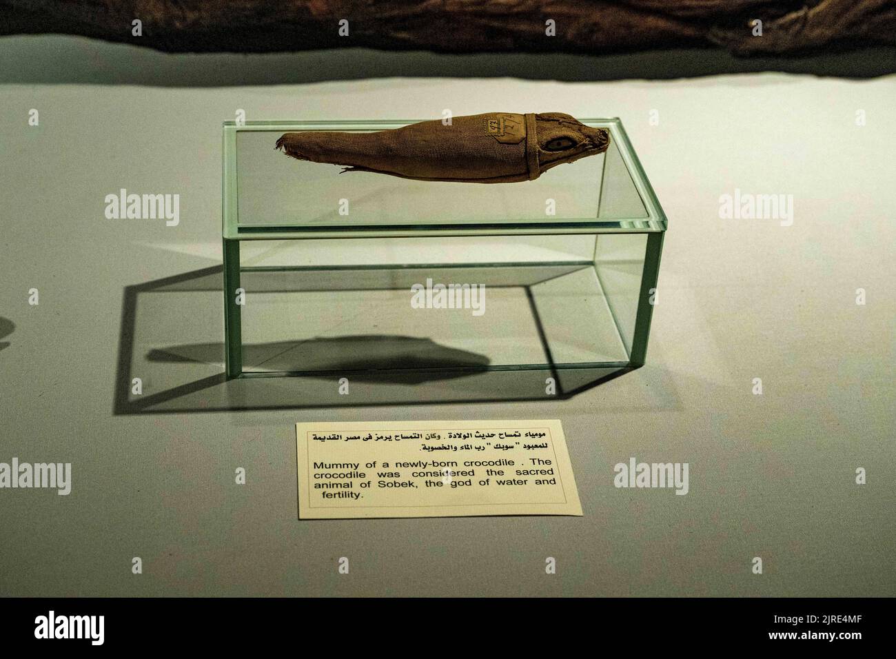 Mummification museum intended to provide an understanding of the ...