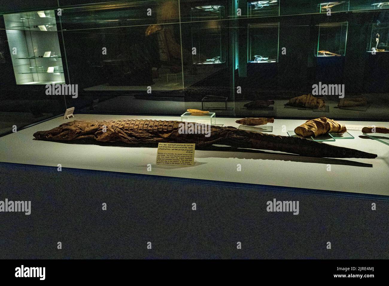 Mummification museum intended to provide an understanding of the ...