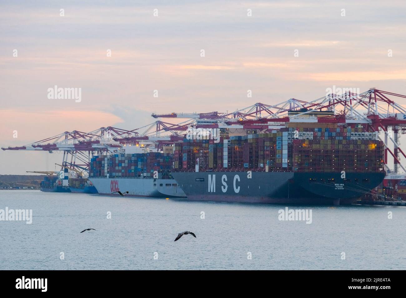 MSC Mia container ship at the Port of Barcelona, Catalonia, Spain on ...
