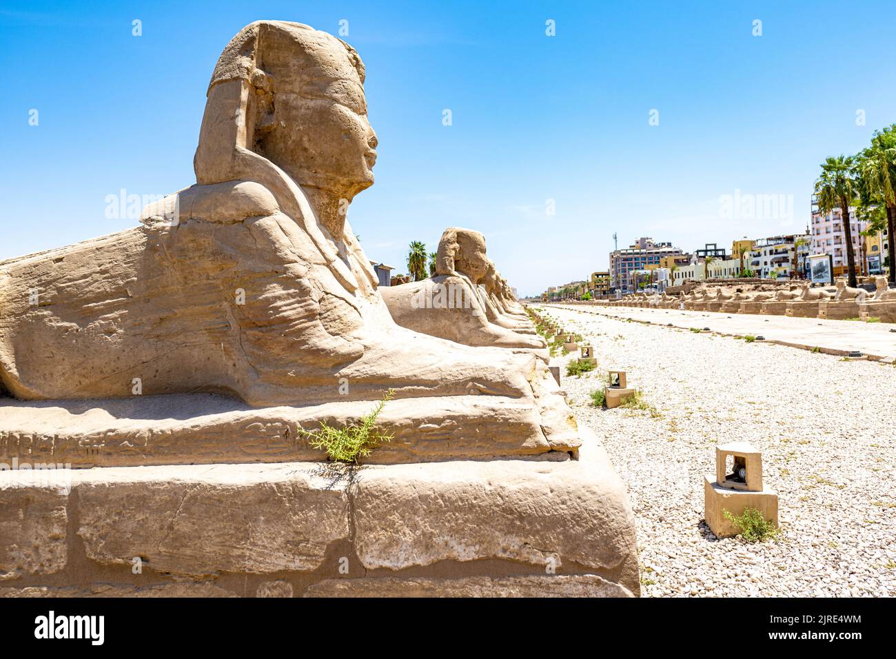 Luxor Temple, Ancient Egyptian temple complex and Avenue of Sphinxes axnd Shrine stations at ...