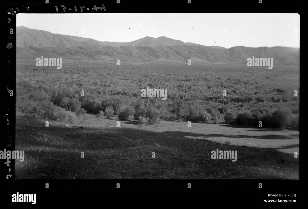 Mangaroa swamp from north-west, 13 December 1949, by Leslie Adkin Stock ...