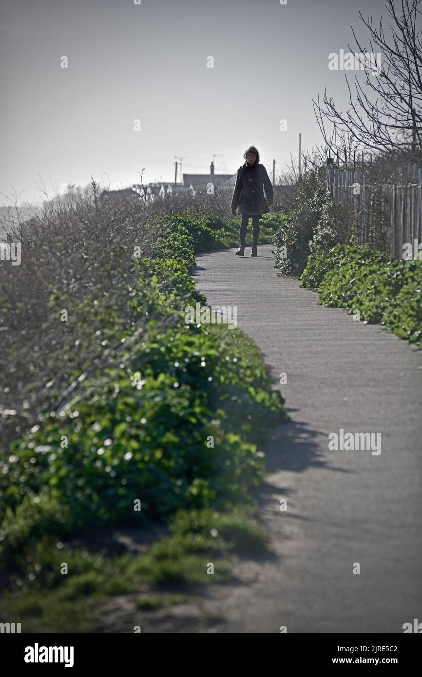 solitaty middle aged woman walking towards camera pakefield cliffs ...