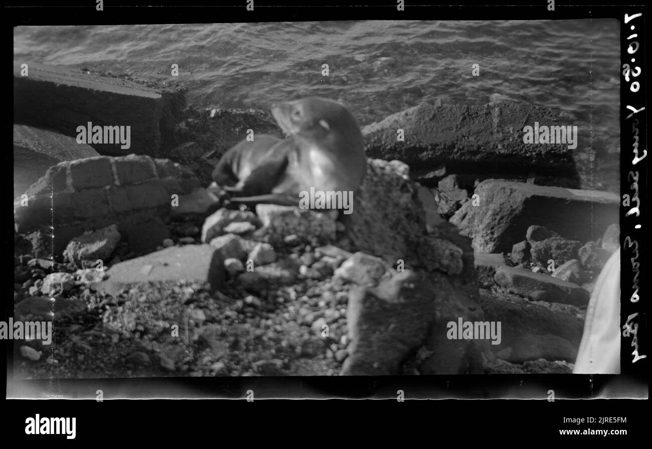 Native bay Black and White Stock Photos & Images - Alamy