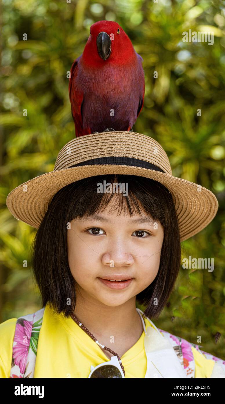 Young girl has parrot on her head Stock Photo - Alamy