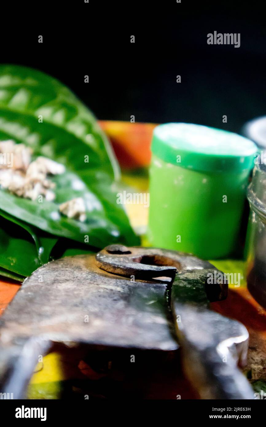 Betel leaf and its ingredients for flavoring in chewing areca nut ...