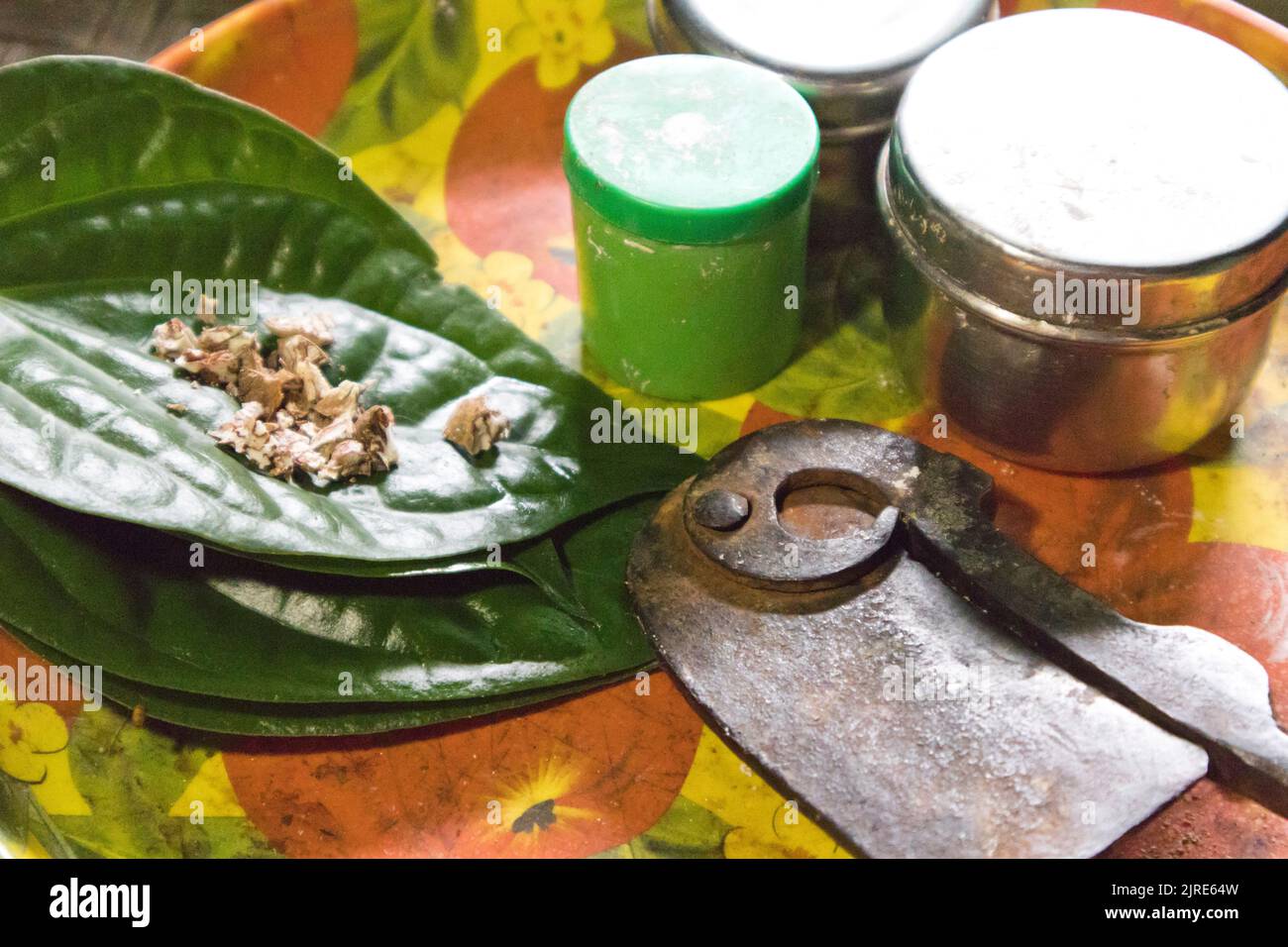 Betel leaf and its ingredients for flavoring in chewing areca nut ...