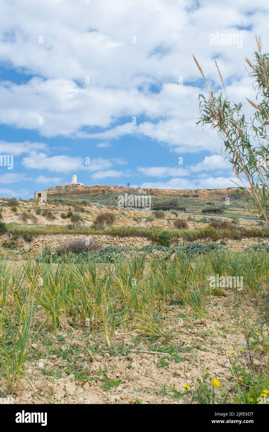 Flat topped plateau hill in the rural village of Ghasri, Gozo, Malta ...