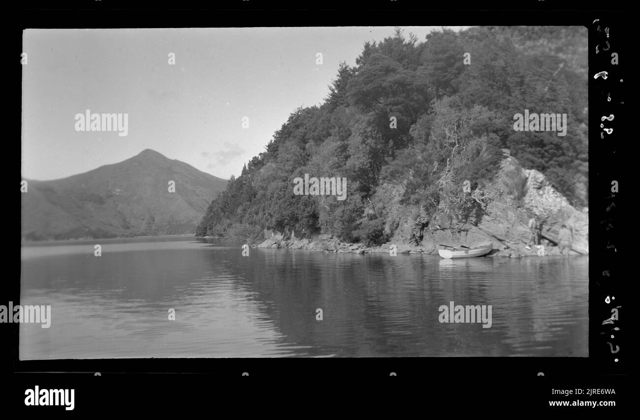 Weka Point, Marlborough Sounds, 06 February 1955, by Leslie Adkin Stock ...
