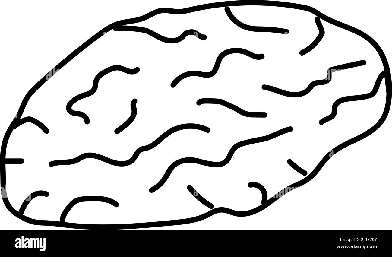 prune fresh tasty line icon vector illustration Stock Vector Image ...