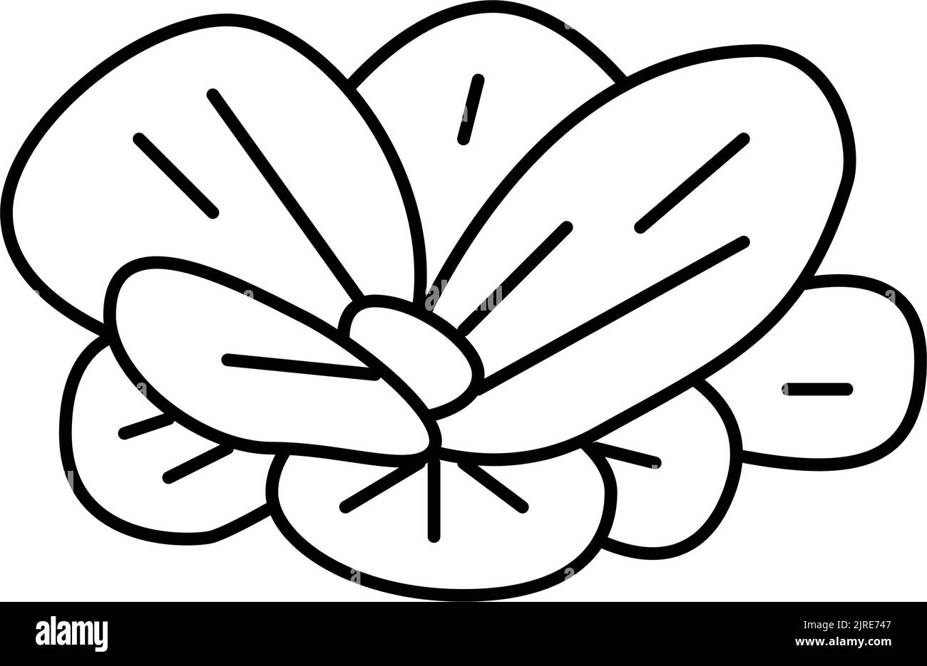 water lettuce line icon vector illustration Stock Vector Image & Art ...
