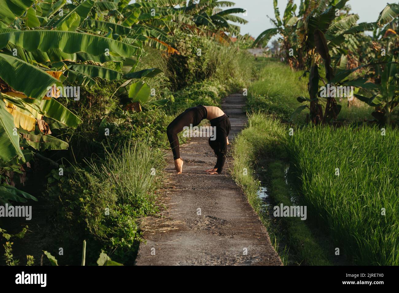 Young woman doing yoga asana outdoors in Bali. Upward Bow Wheel Pose ...