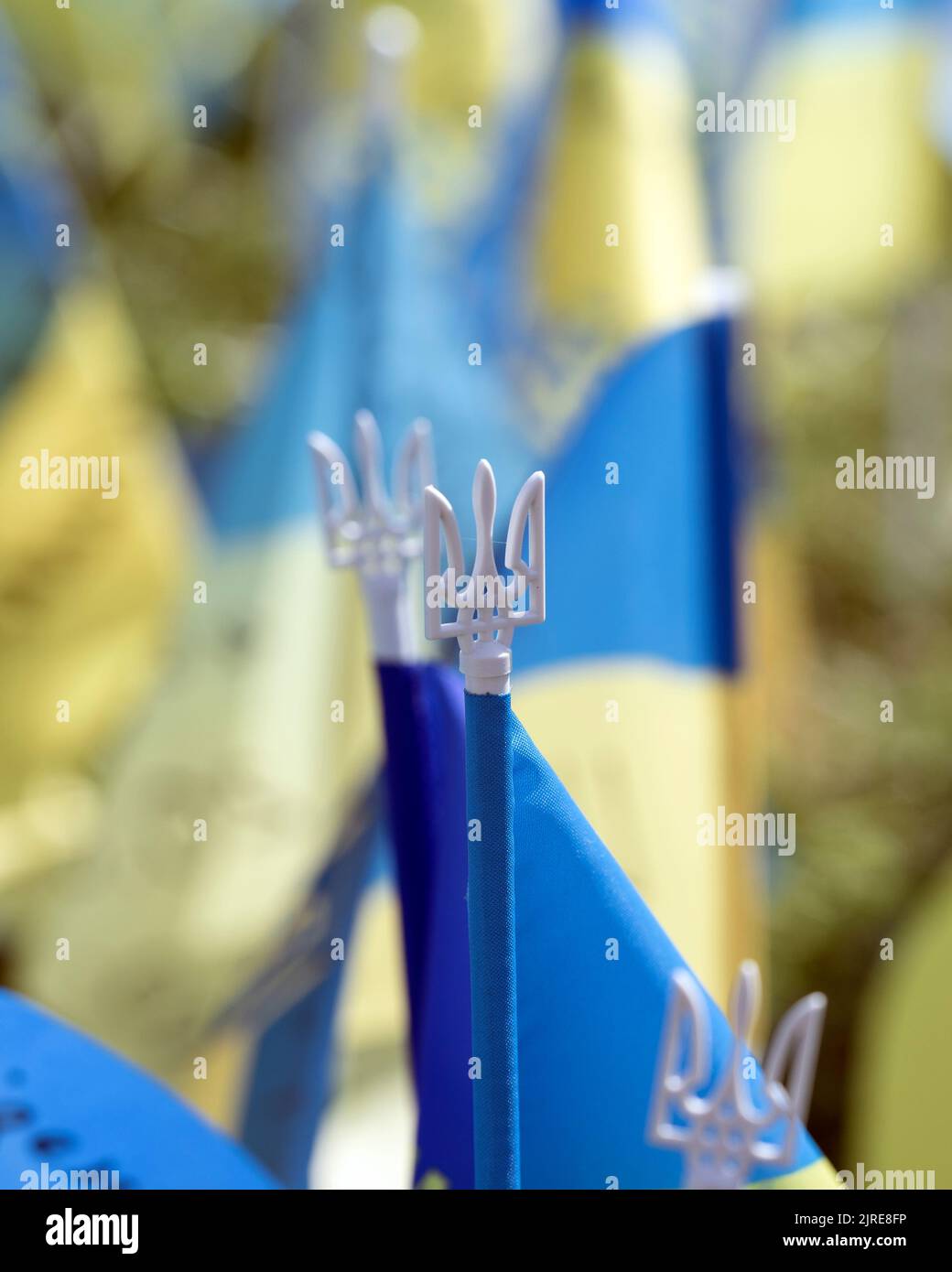 Ukrainian national official flag on blue sky background Stock Photo - Alamy
