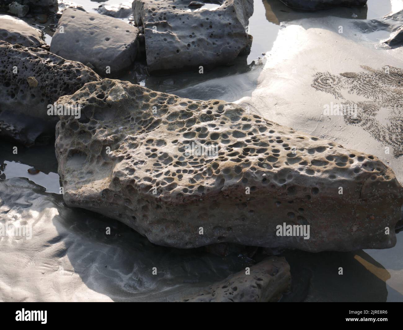 A high angle shot of a rock with erosion holes on a sandy beach in ...