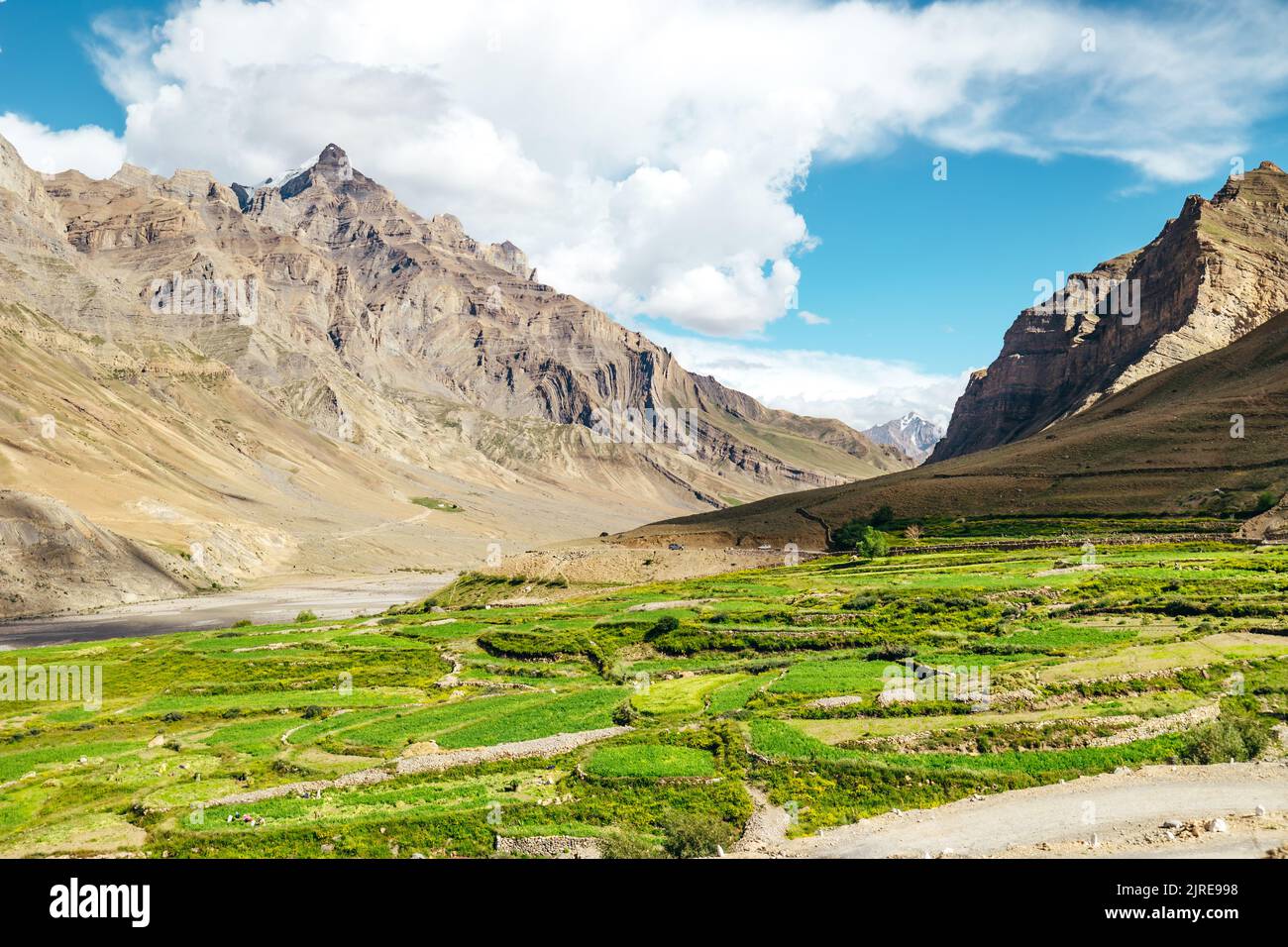 lush green farmland during the summer in Pin Valley of Himachal Pradesh ...