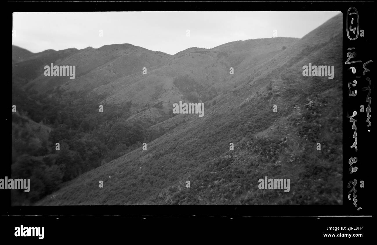 New Zealand Survey Staff Conference : Head 88 station, 17.June 1953-24 ...