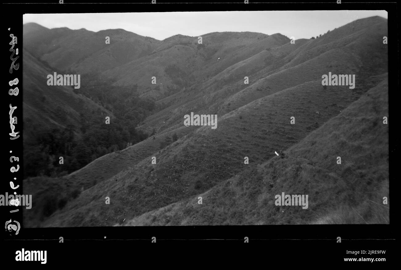 New Zealand Survey Staff Conference : Head 88 station, 18.June 1953, by ...