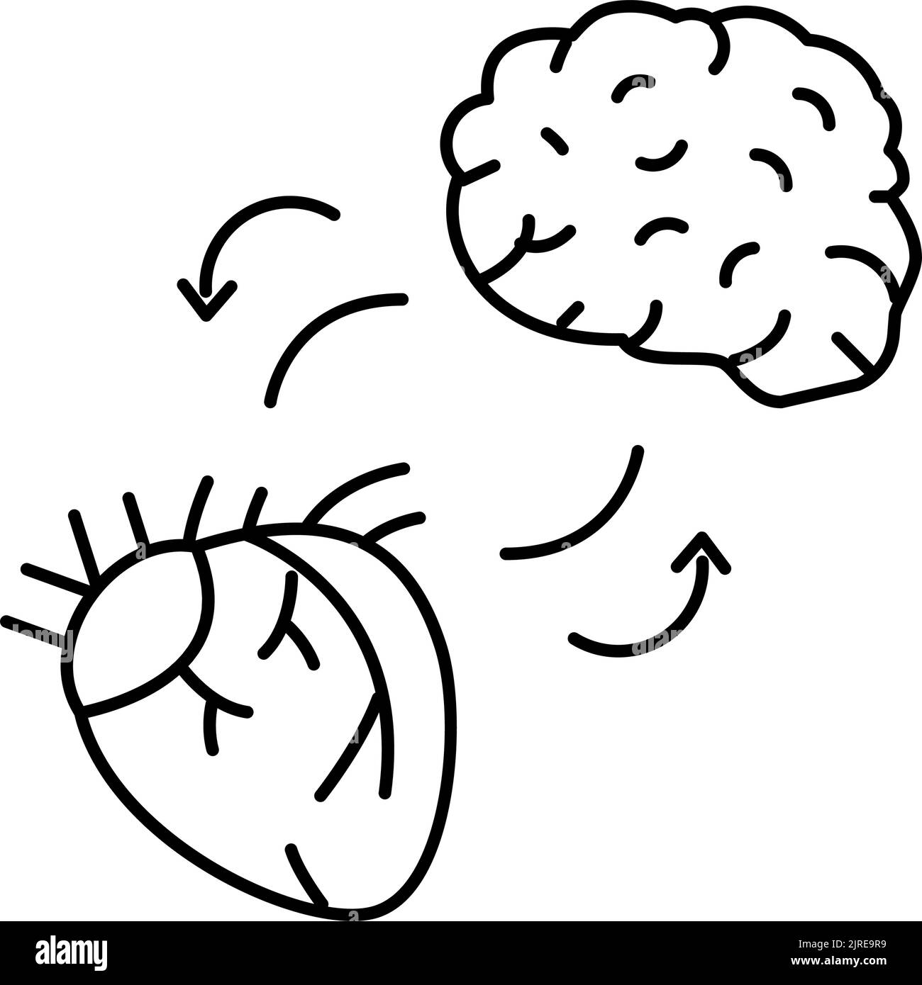 baroreflex heart and brain line icon vector illustration Stock Vector ...