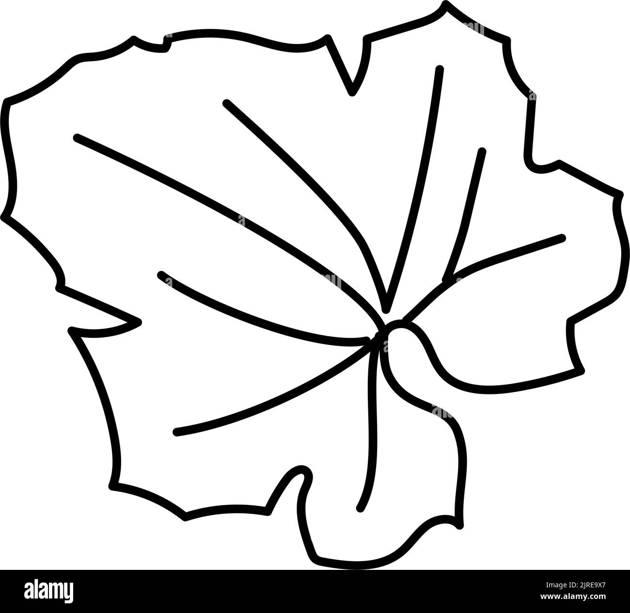 leaf melon cantaloupe line icon vector illustration Stock Vector Image ...