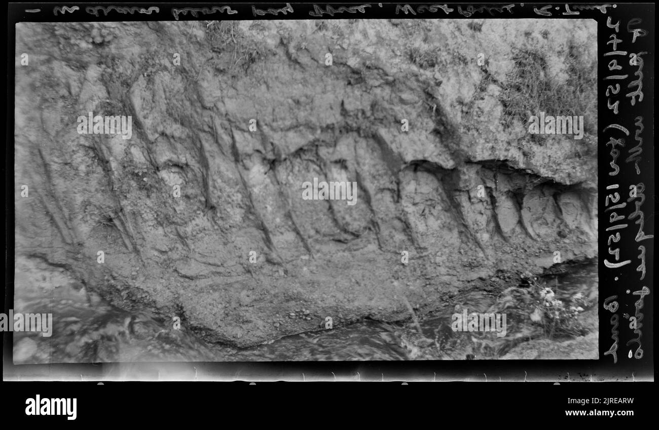 Band of silt with oblique joints ..., 24 September 1952, by Leslie ...