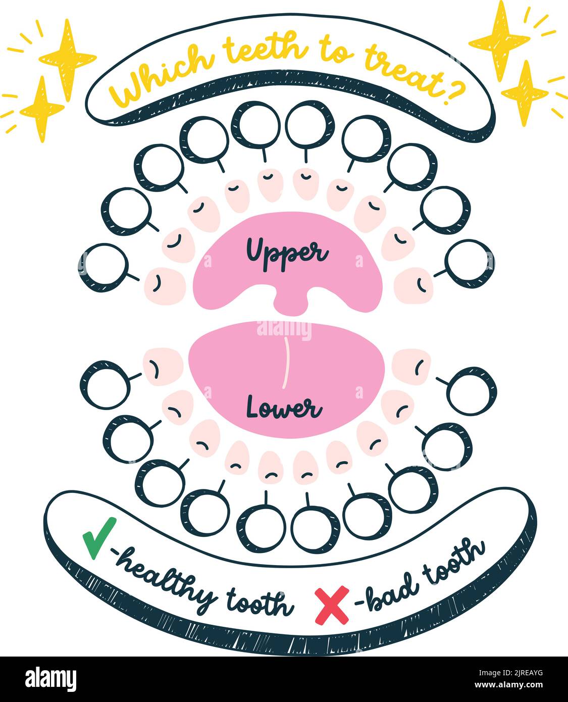 Teeth infographics hi-res stock photography and images - Alamy